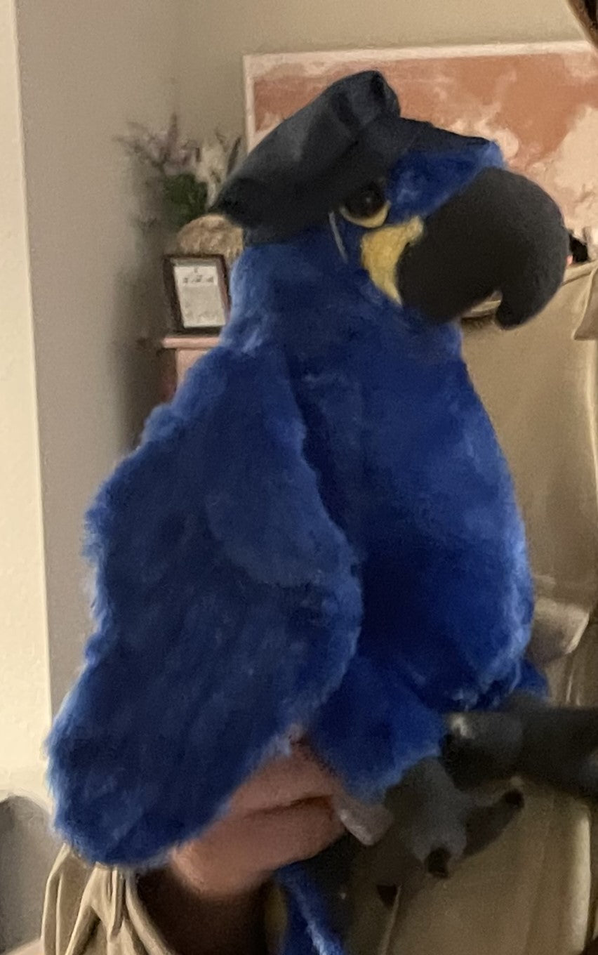 Hyce Bird – Hyce Trains Shop